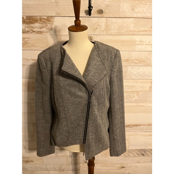 LOFT | Jackets & Coats | Nwt Loft Size L Moto Zip Up Jacket | Poshmark
